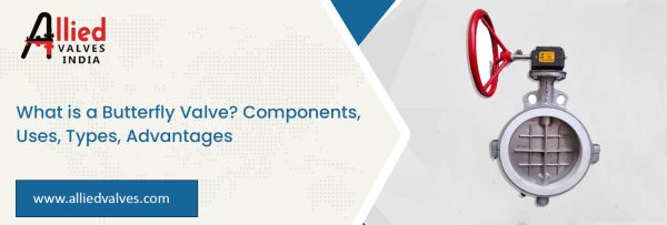 What is a Butterfly Valve? Components, Uses, Types, Advantages