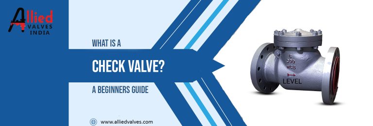 What is a Check Valve? A Beginners Guide